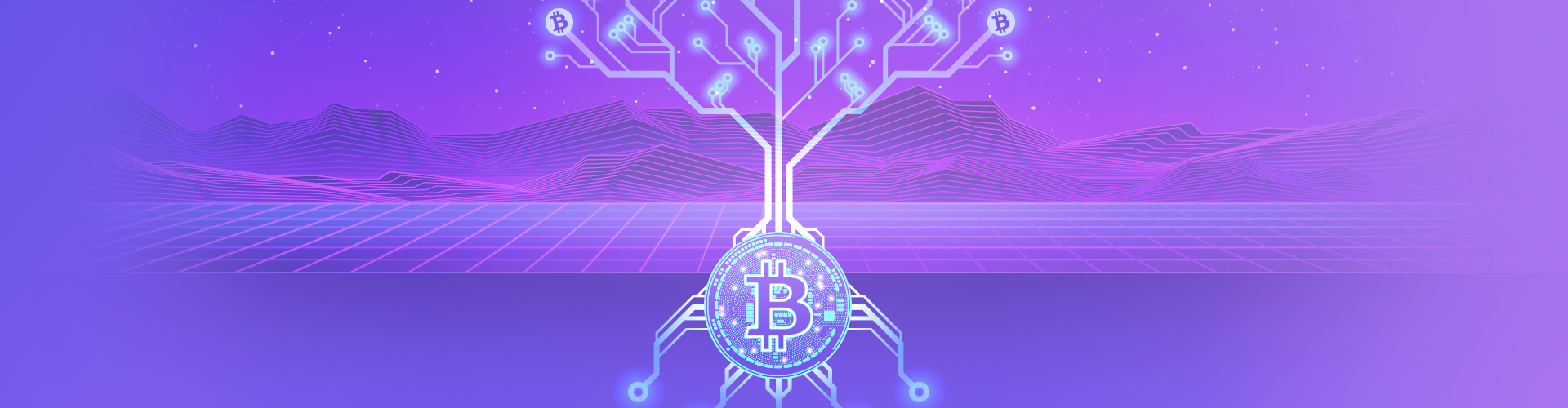 Taproot—an update to the Bitcoin protocol: what's the point and what ...